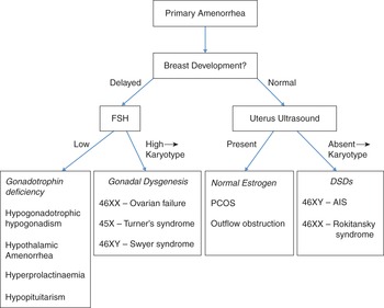 Chapter 8b Primary Amenorrhea In Pediatric And Adolescent Gynecology